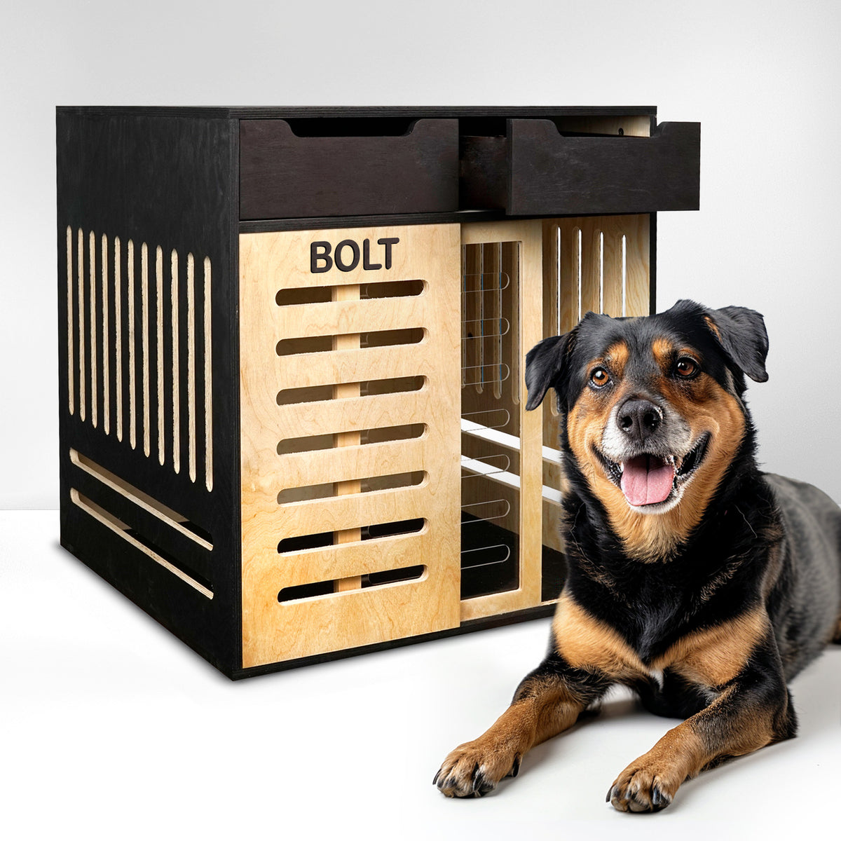 Personalized wooden dog house – PromiDesign.com